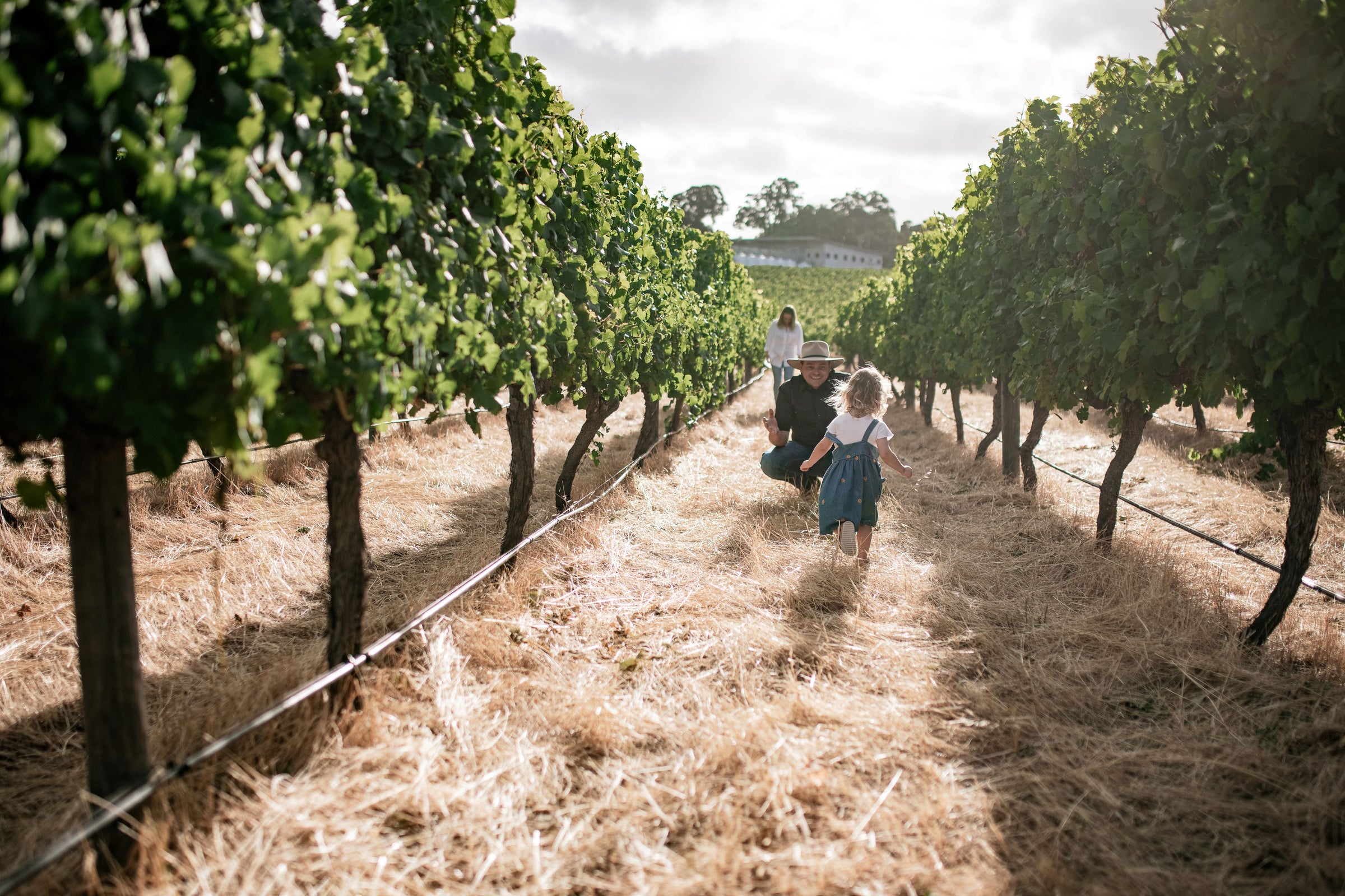 Thomas William Wines